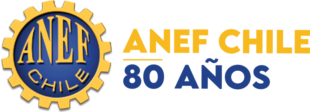 ANEF CHILE – Agrupación Nacional de Emplead@s Fiscales.